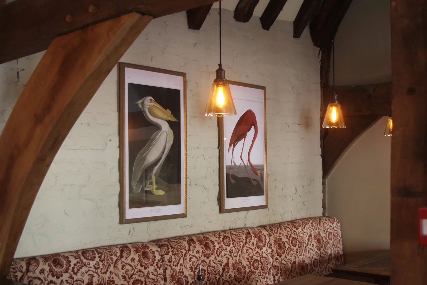 Gallery | Explore Our Visual Feast — Pickled Frog