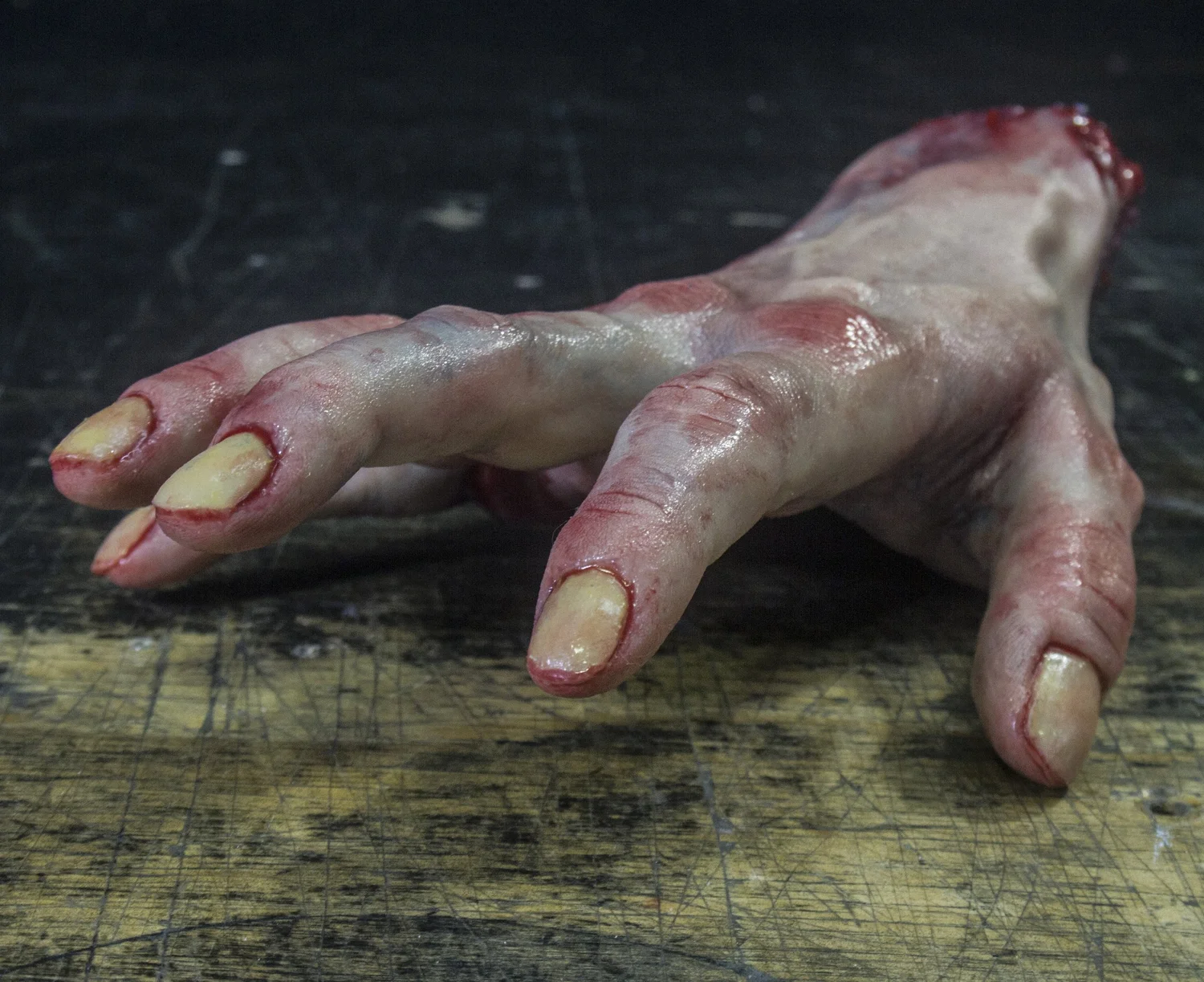 Real Severed Hands