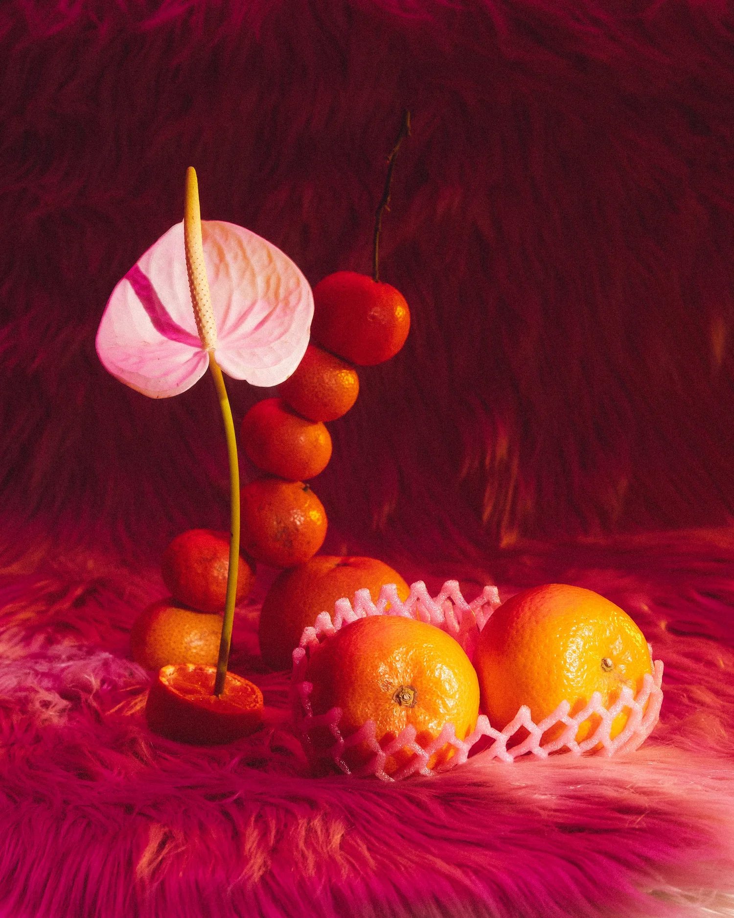 Still Life — Jayden Tan Photography