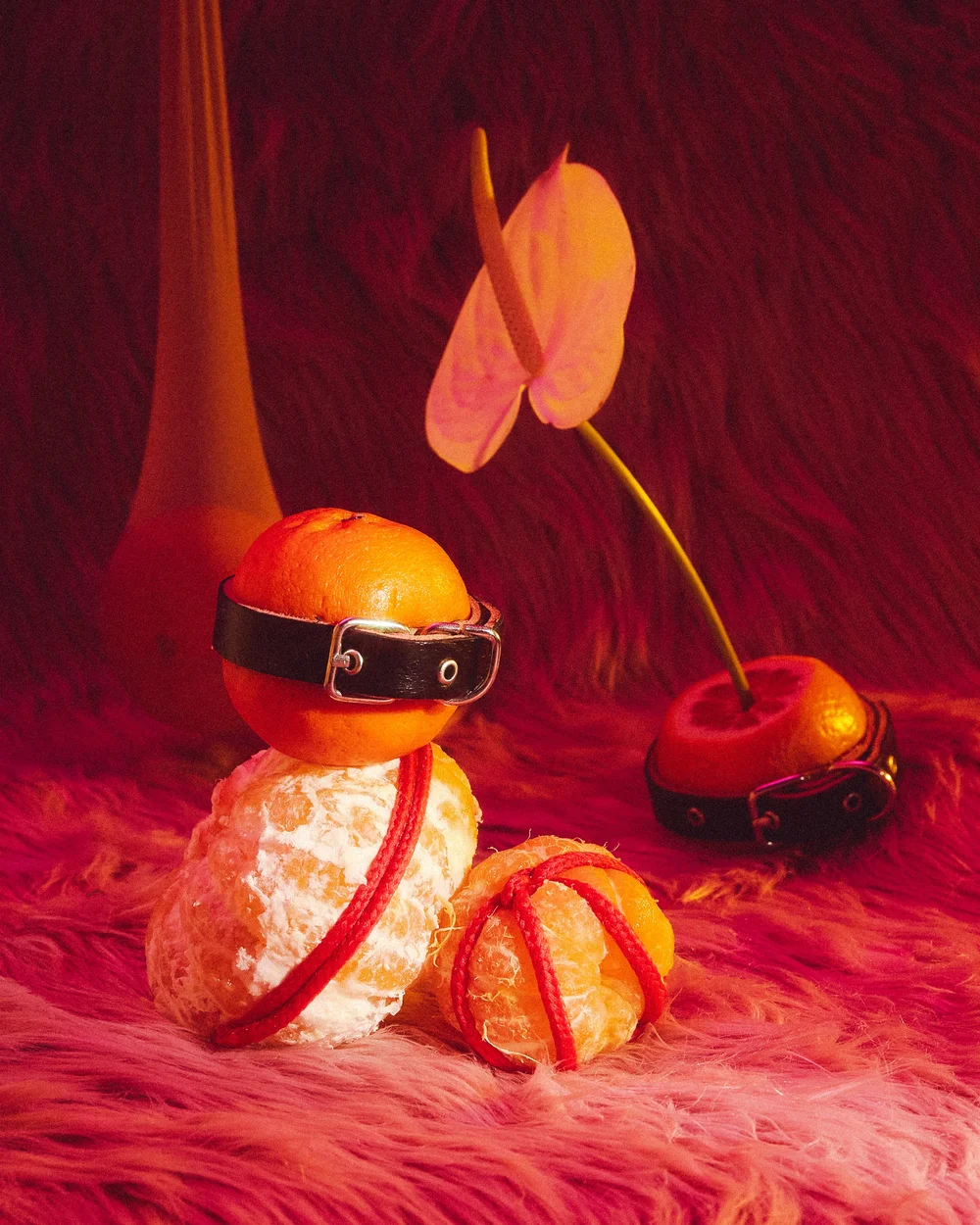 Still Life — Jayden Tan Photography