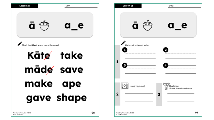 RAVE-O Grades 2-4 — Reading Futures