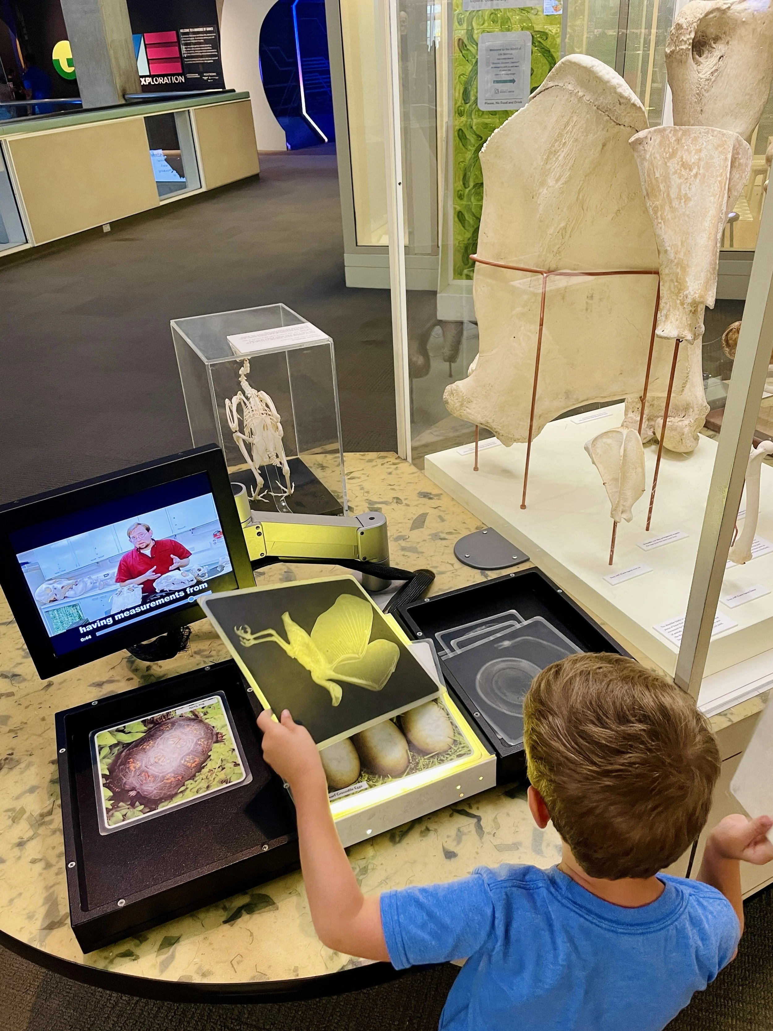 St. Louis Science Center — The Foodie's Travel Guide