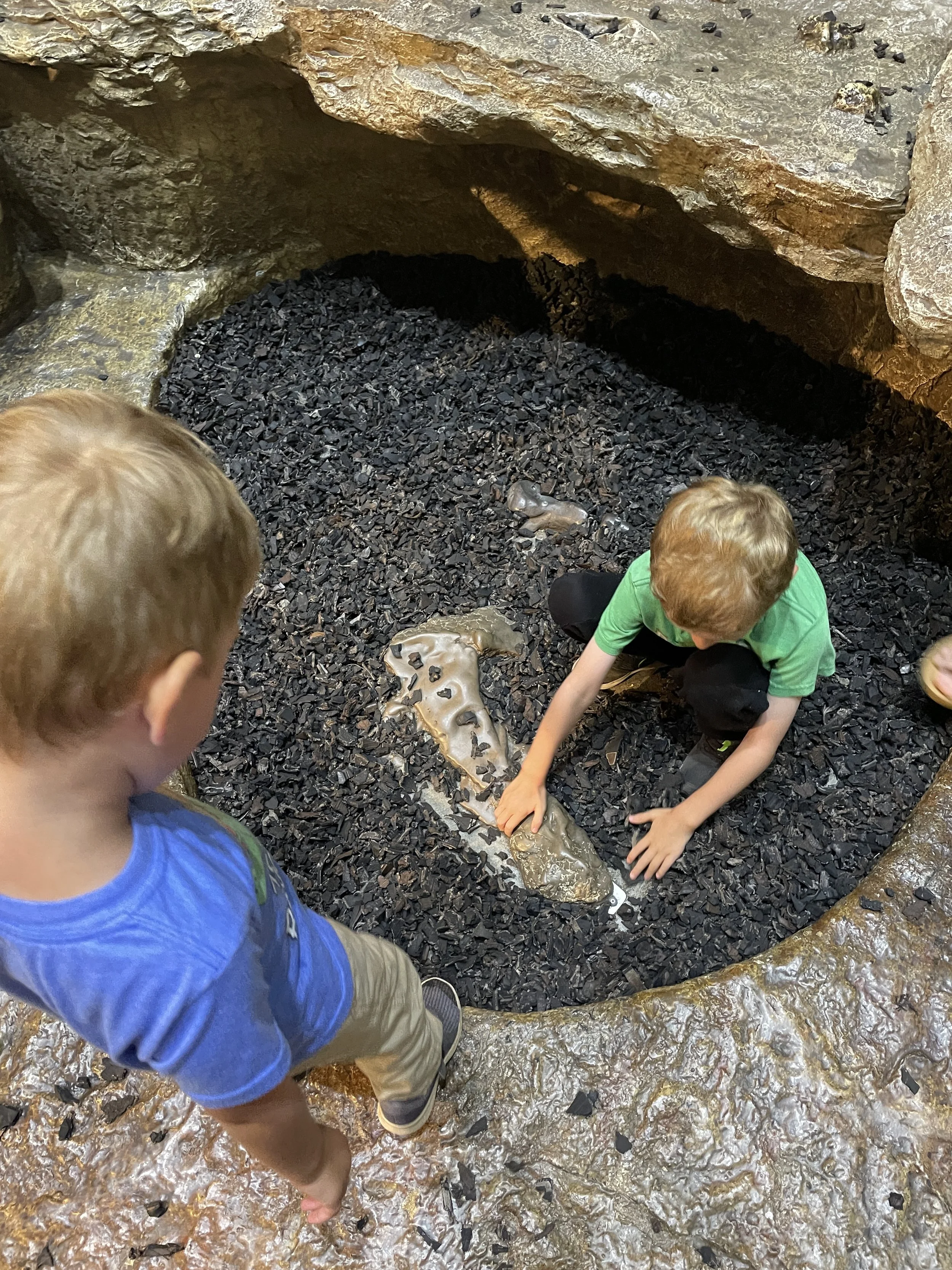 St. Louis Science Center — The Foodie's Travel Guide