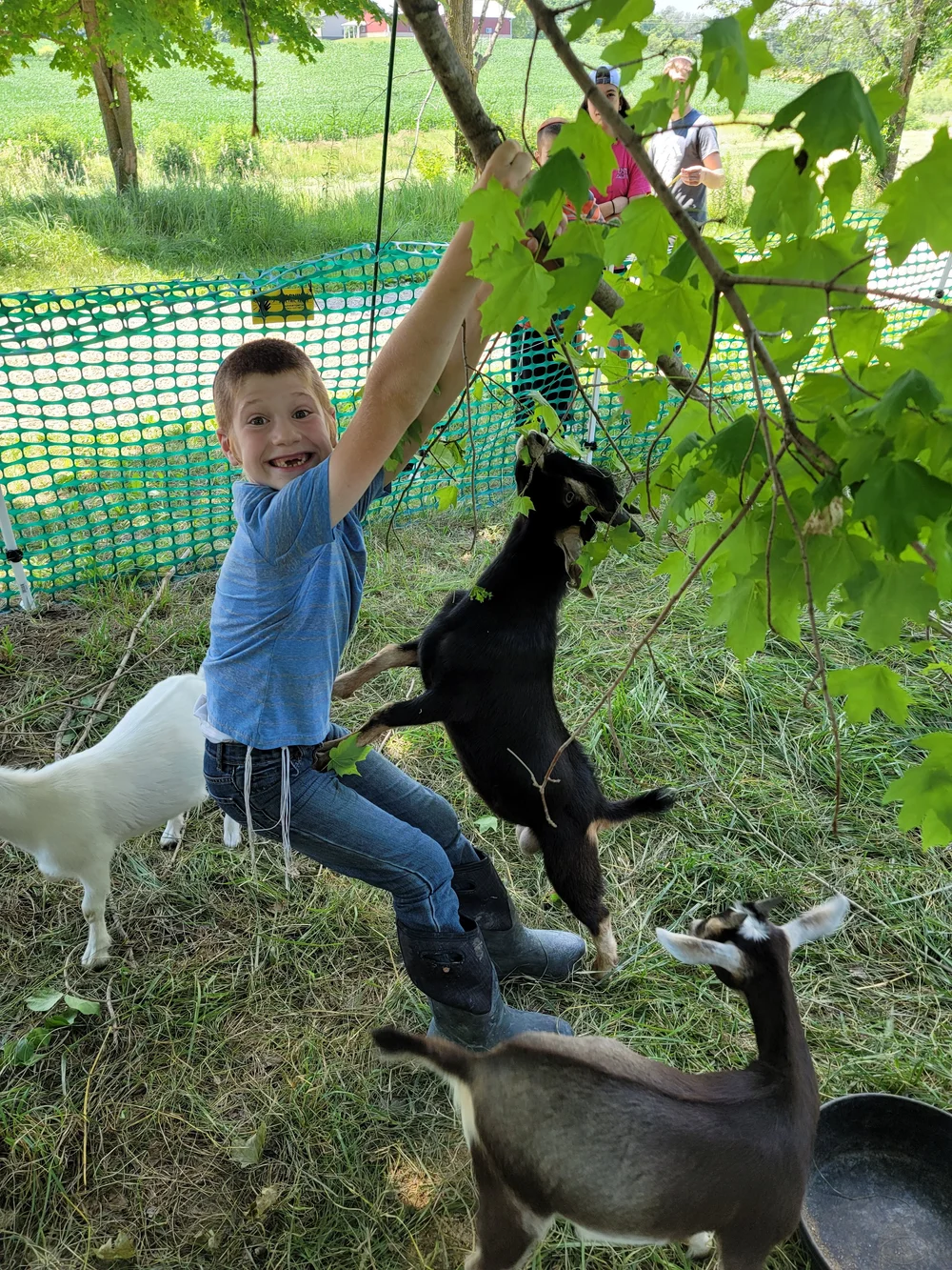 The Farm — Jewish Life Campus