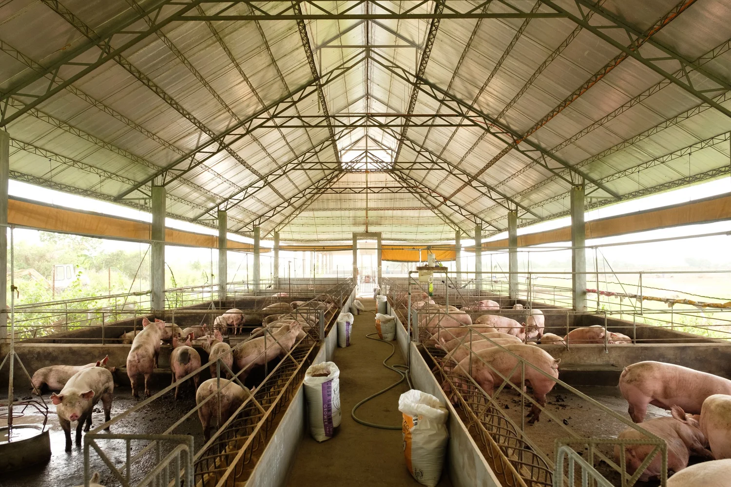 Systematic Farming Corp.
