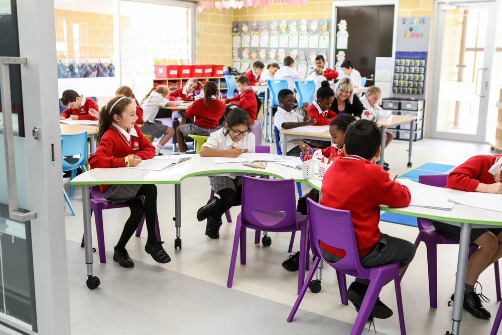 Homework Club | Enhance Learning Today — Join Now — Salvado Catholic ...