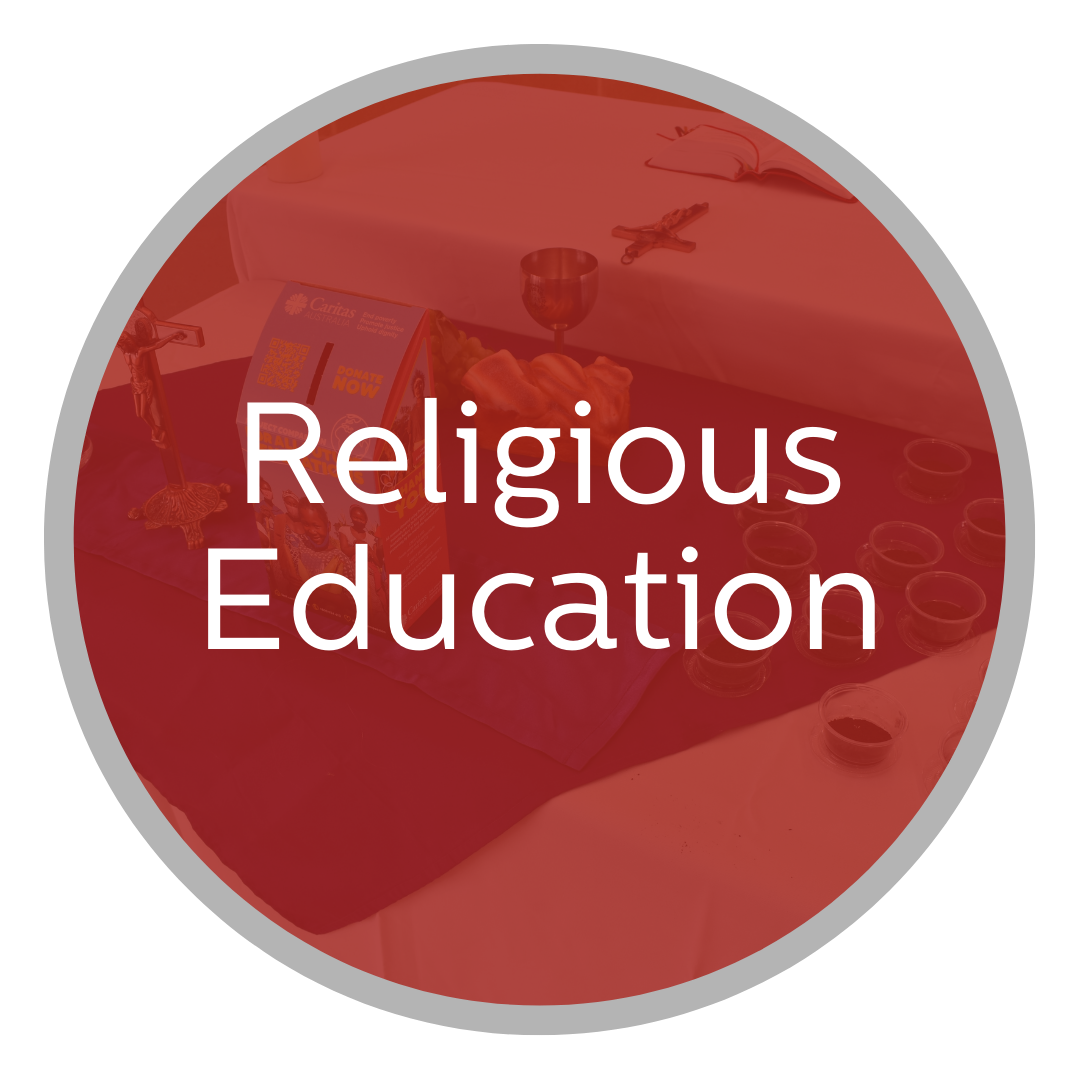 Curriculum | Enhance Learning Today — Enroll Now — Salvado Catholic College