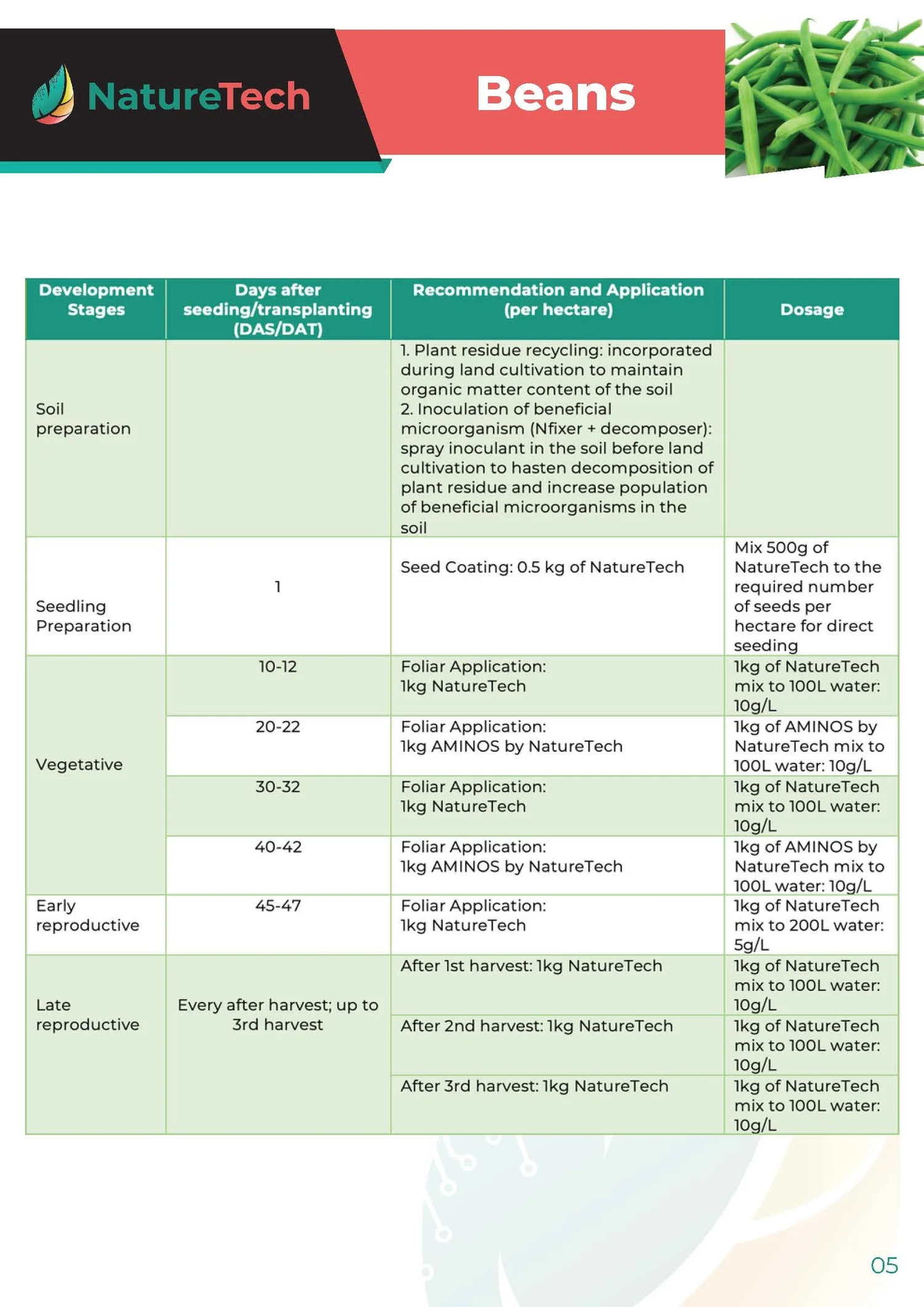 NatureTech Beans Protocol — Nature Tech Innovation Group, Inc.