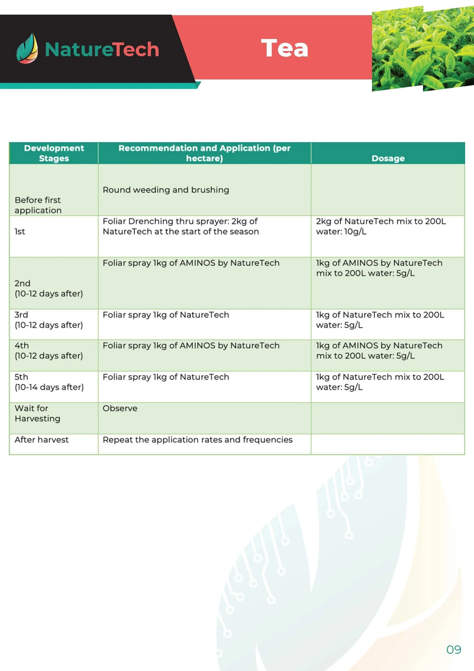 NatureTech Tea Protocol — Nature Tech Innovation Group, Inc.