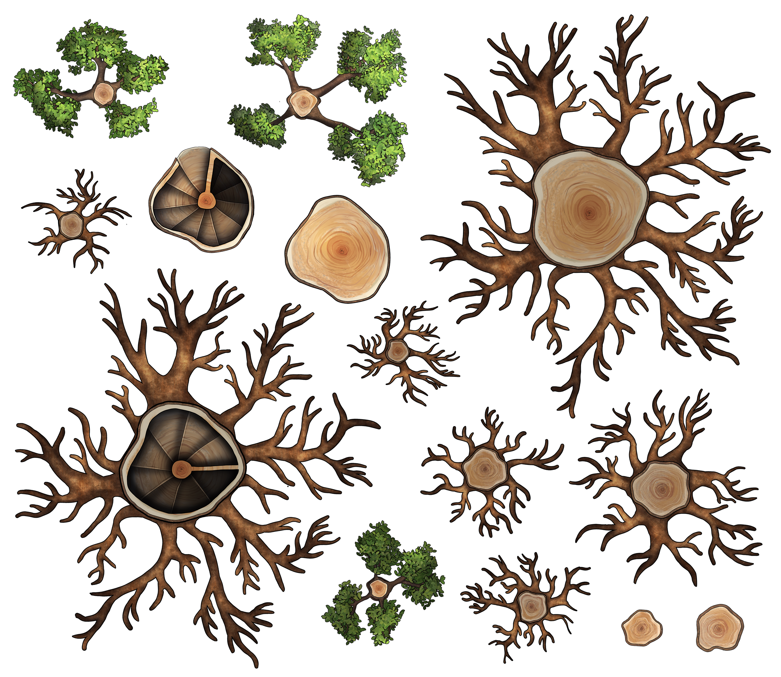 Tom Cartos Battlemap Asset Gallery — Tom Cartos