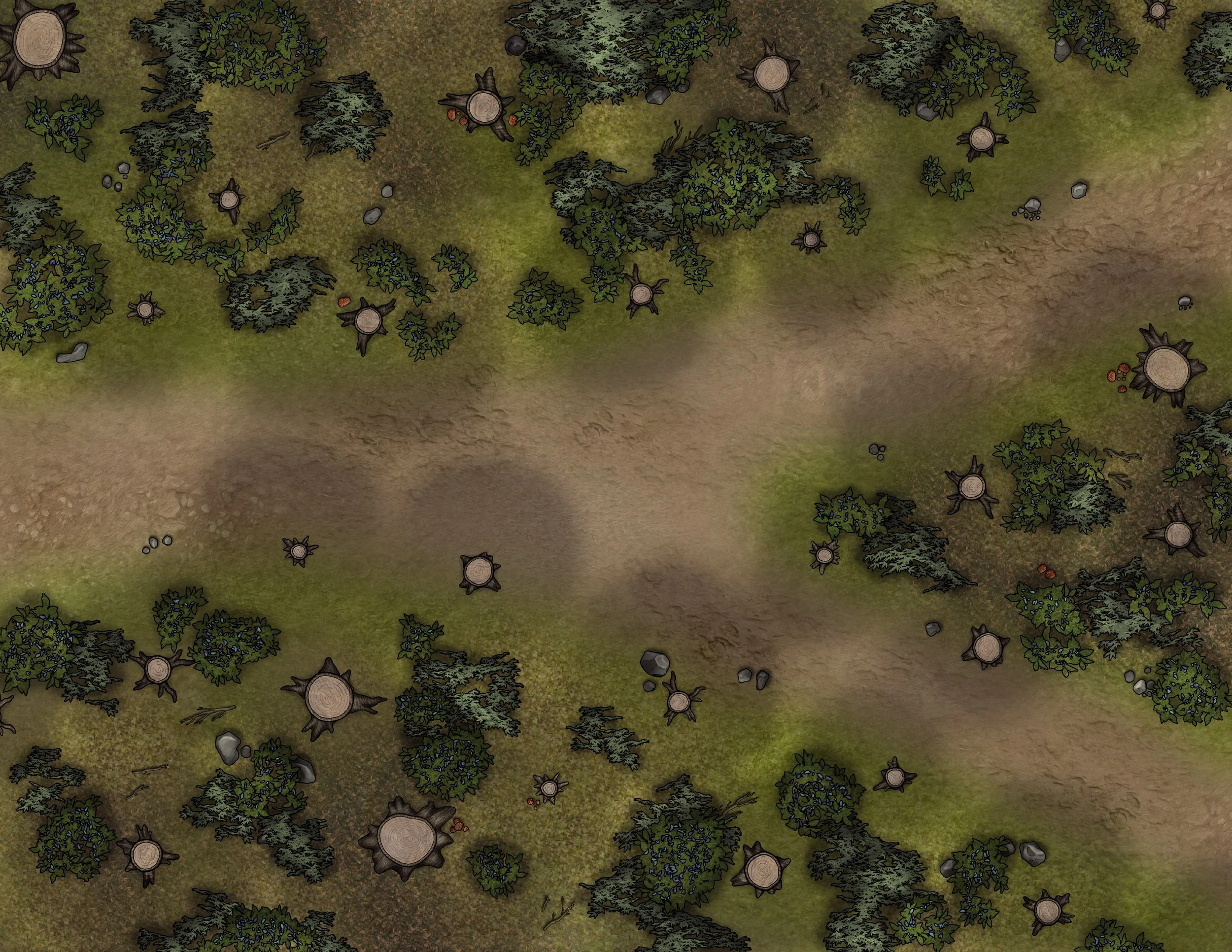 TTRPG Battlemaps & Assets — Tom Cartos