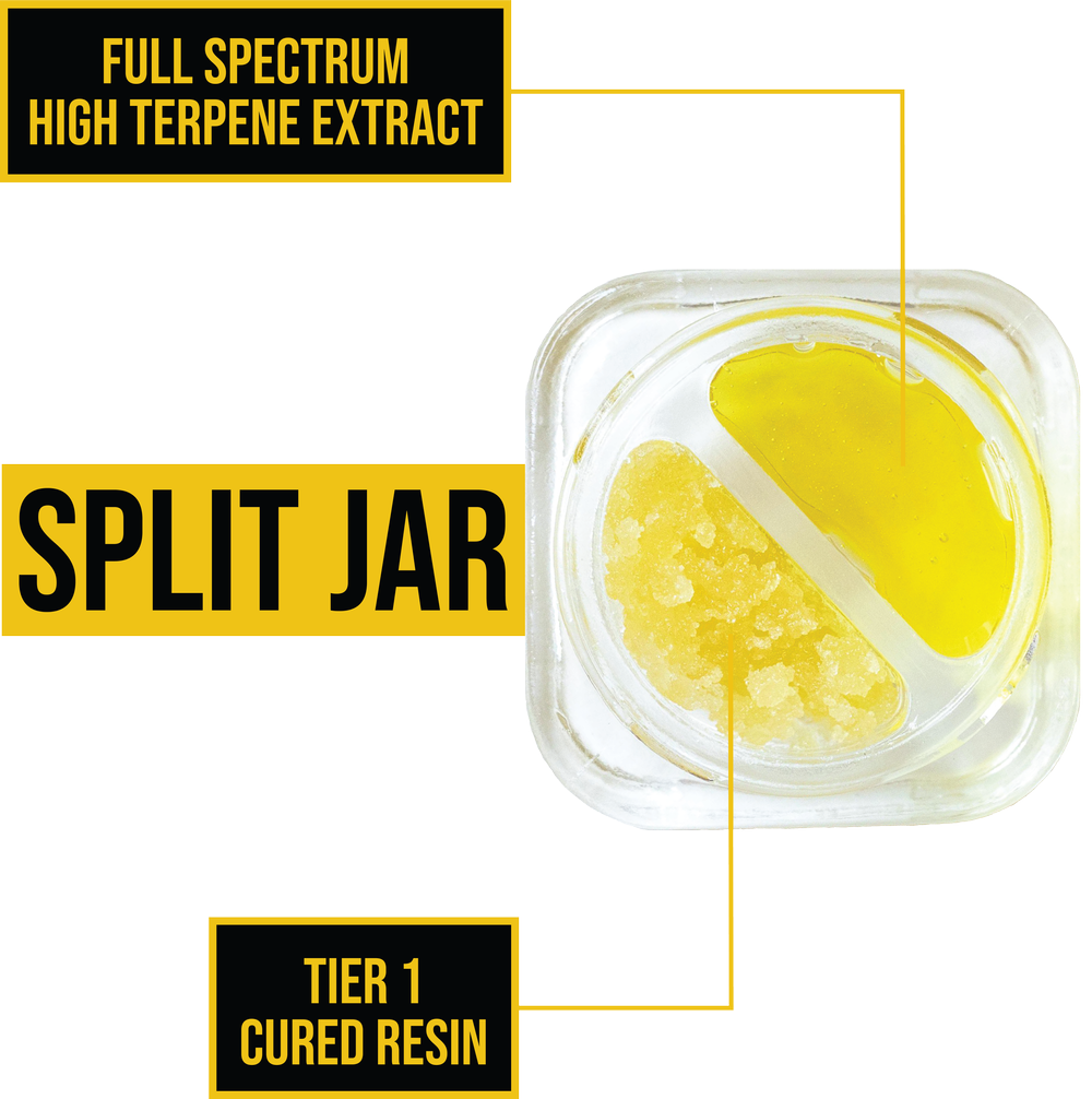 CURED RESIN + FULL SPECTRUM EXTRACT SPLIT JAR — Goldsmith Extracts