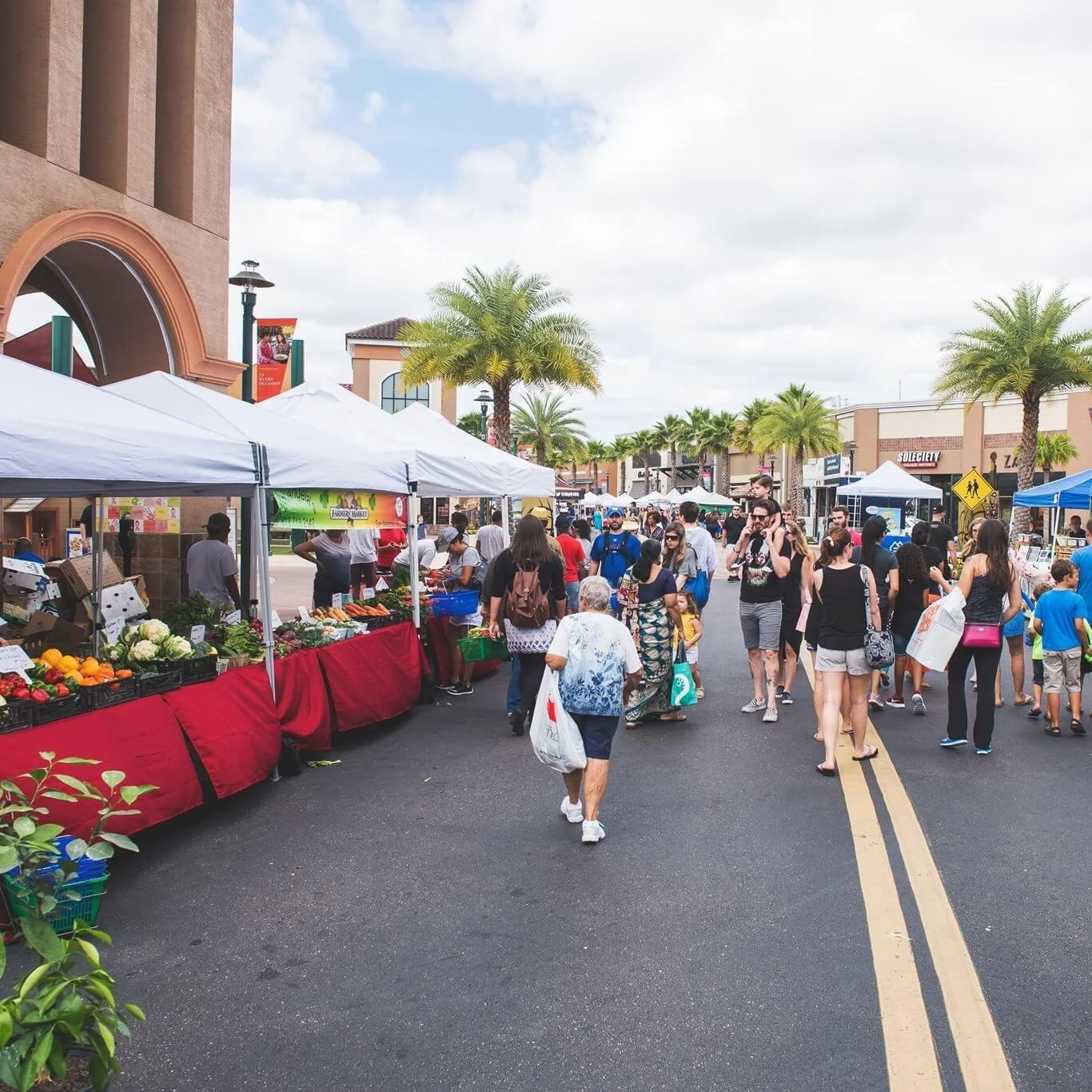 Fresh Market at Wiregrass — Tampa Bay Markets