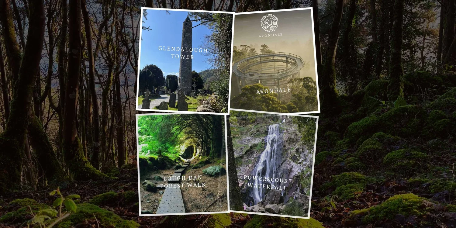 Knockrobin Glamping