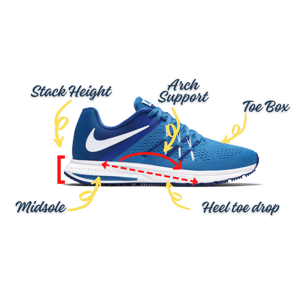 Anatomy of a Running Shoe — The Run Rx