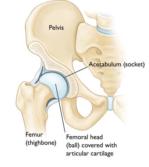 Hip Impingement + Labral Tears in Runners | The Run Rx Physical Therapy ...