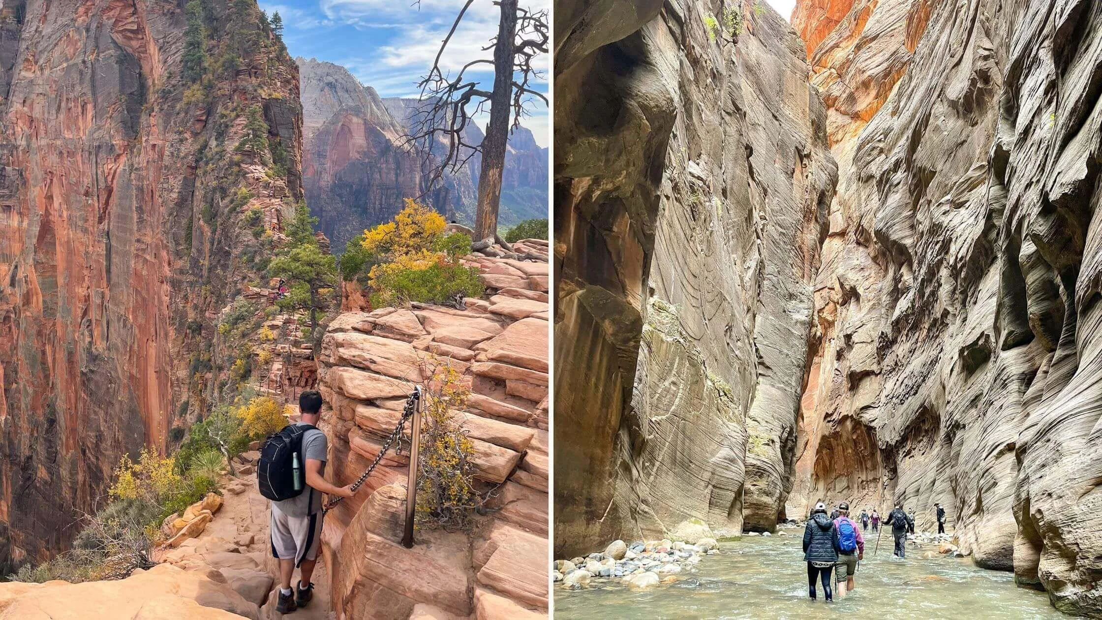 What it's like to hike Angel's Landing and The Narrows in Zion National ...
