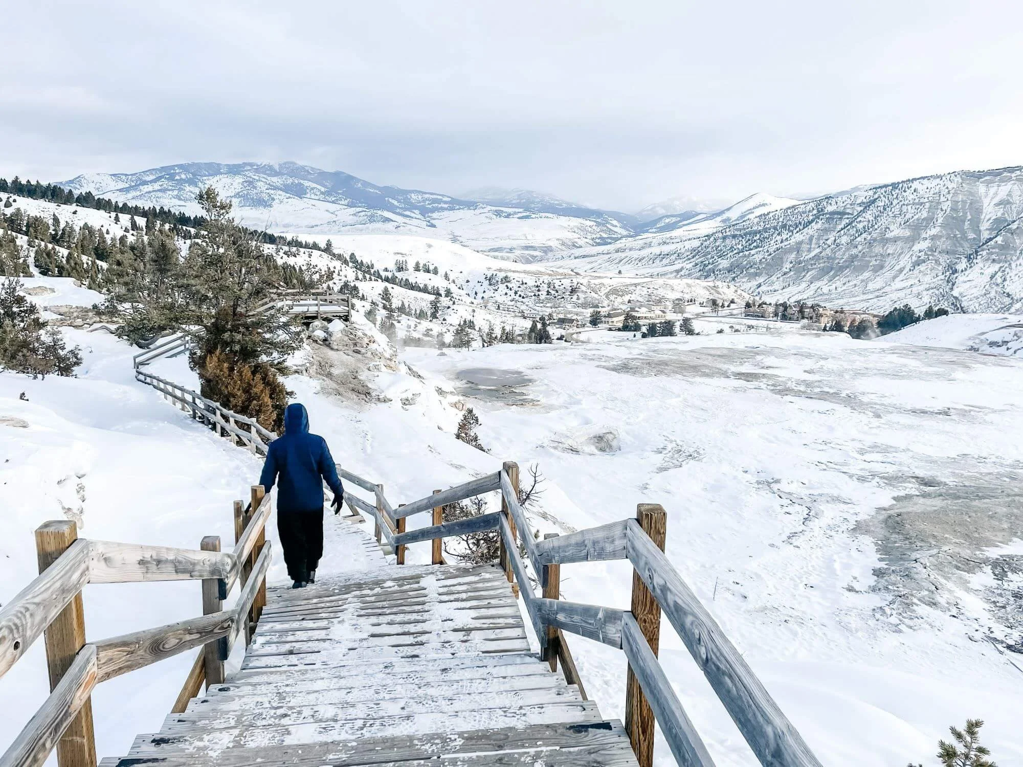 Yellowstone in Winter: What to Know Before You Go — Road Trip Locals