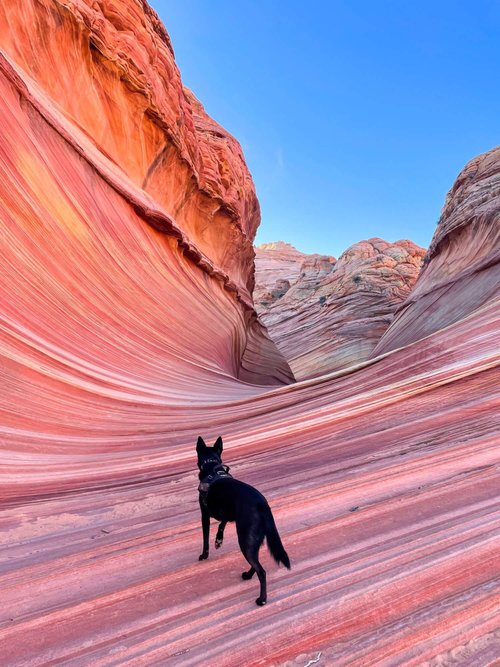 Winning a ‘Wave’ Permit (and what to expect once you do) — Road Trip Locals