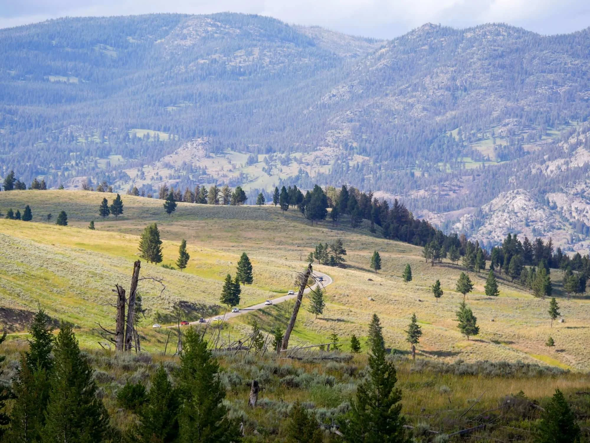 Yellowstone Upper Loop: Best Stops for Views, Wildlife, and Hiking ...