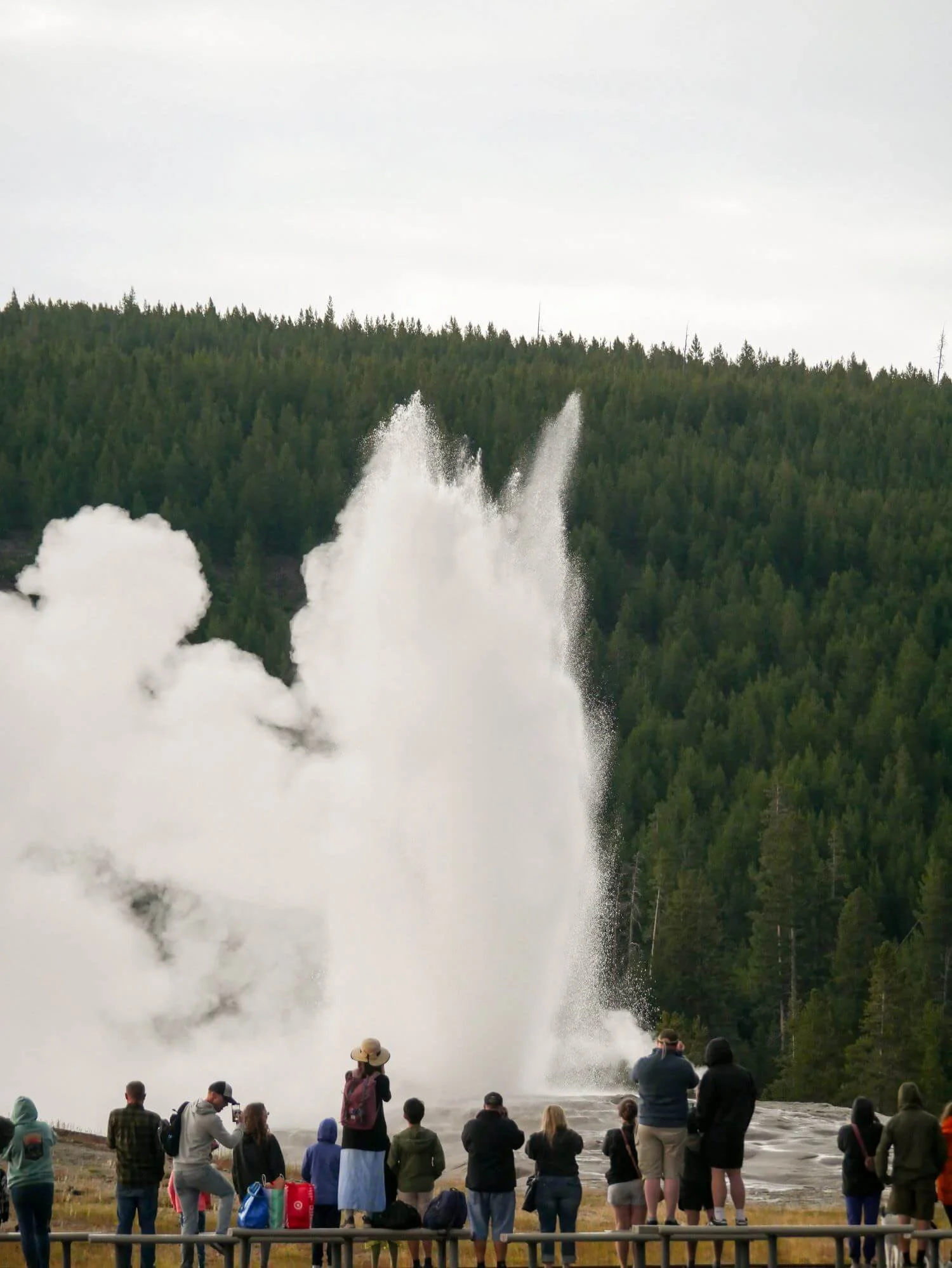 7 Reasons Yellowstone in Summer Is Worth the Crowds — Road Trip Locals