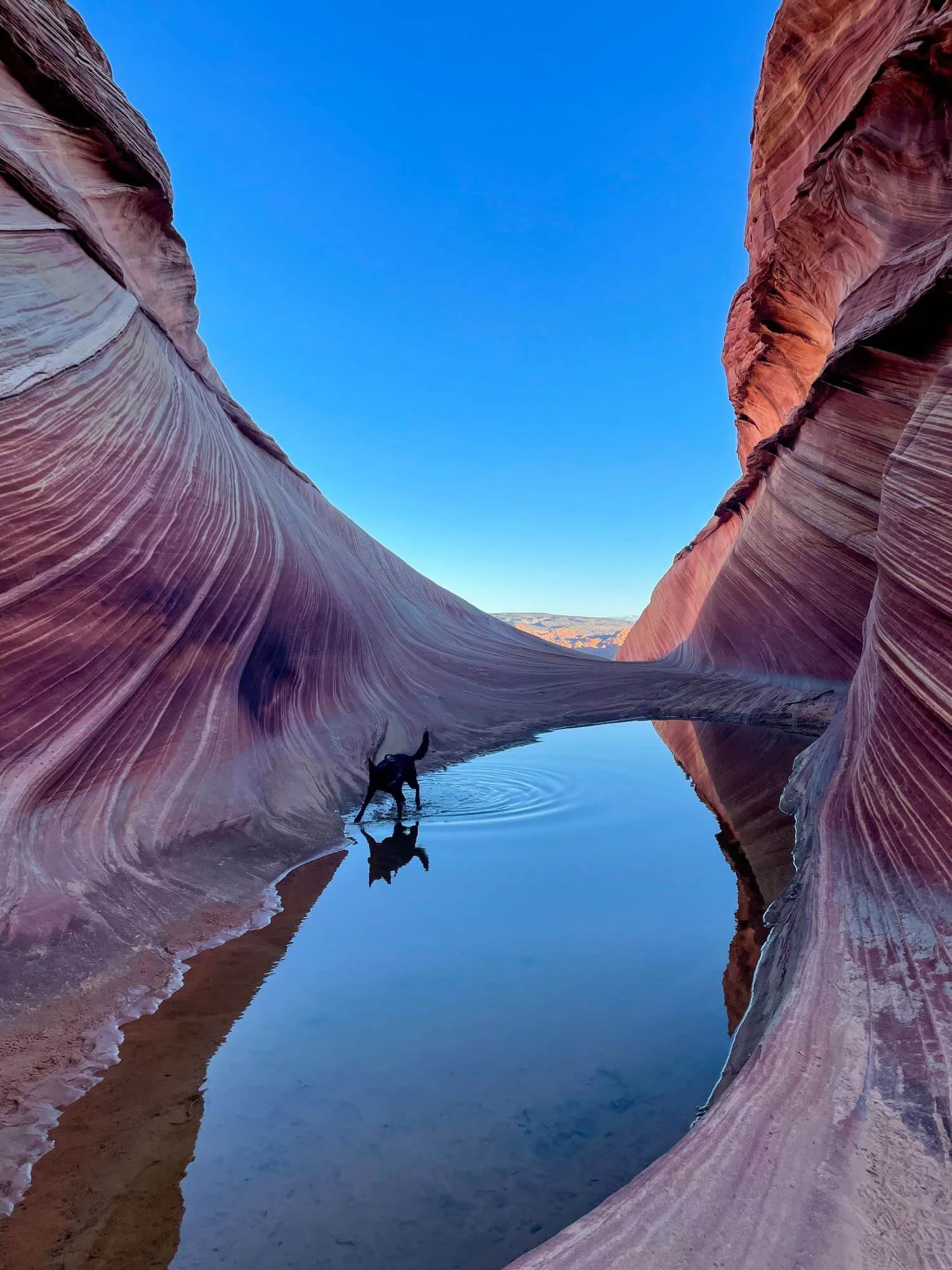 Winning a ‘Wave’ Permit (and what to expect once you do) — Road Trip Locals