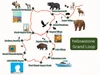 Grand Loop Road: Map & Itinerary for Yellowstone’s Most Scenic Drive ...