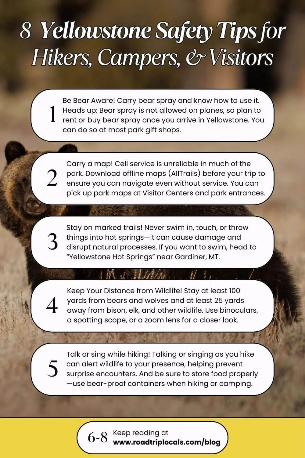 Yellowstone Safety: 8 Must-Know Tips for Hikers, Campers, and Visitors ...