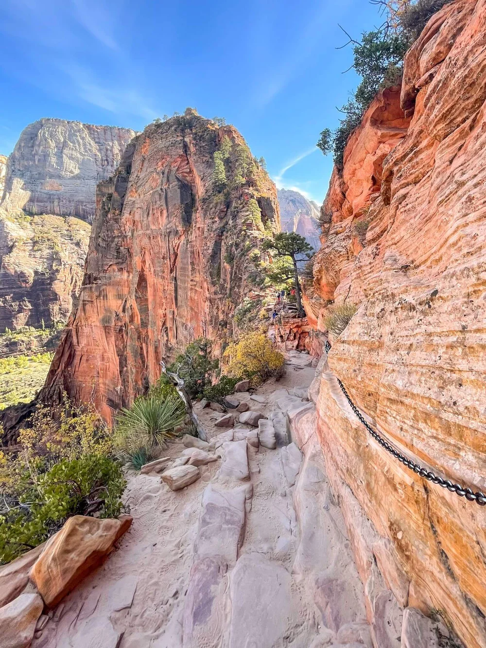 What it's like to hike Angel's Landing and The Narrows in Zion National ...