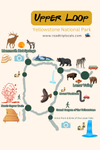 Yellowstone Upper Loop: Best Stops for Views, Wildlife, and Hiking ...