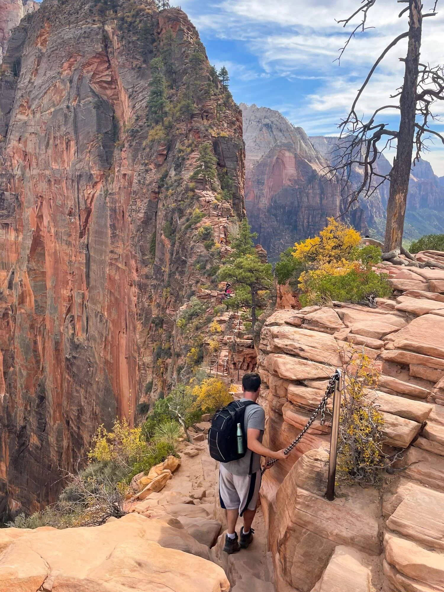 What it's like to hike Angel's Landing and The Narrows in Zion National ...