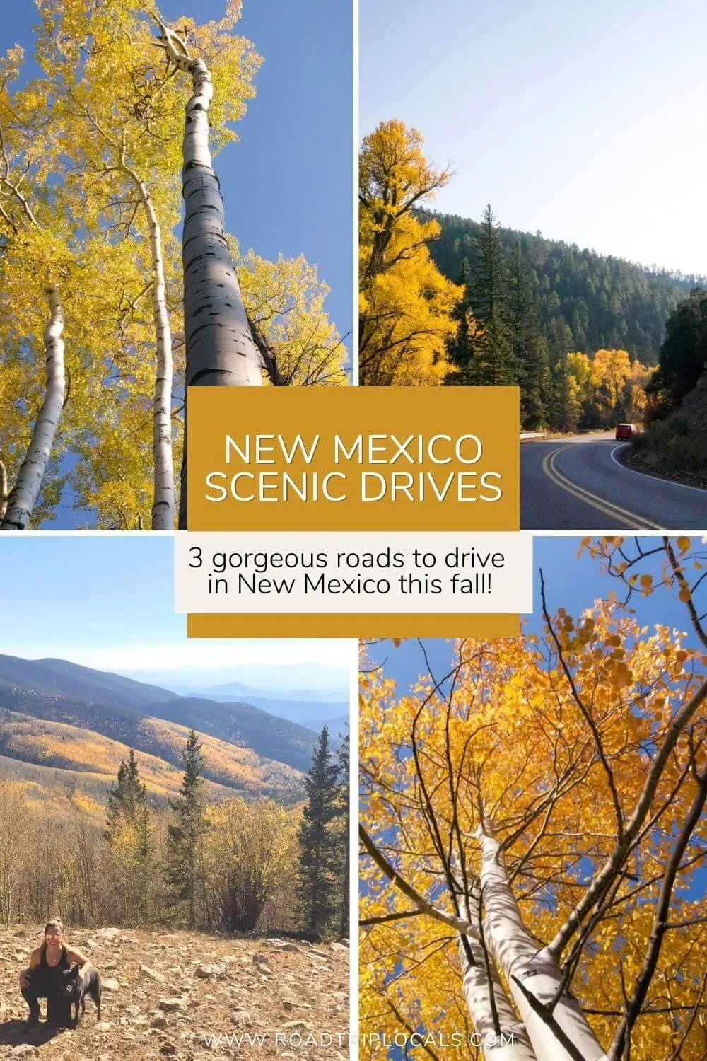 3 Scenic Fall Drives in New Mexico (+ 8 🍂 Pictures to Inspire a Road ...
