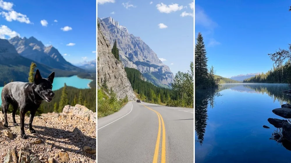 Beginner’s Guide to Driving the Icefields Parkway — Road Trip Locals