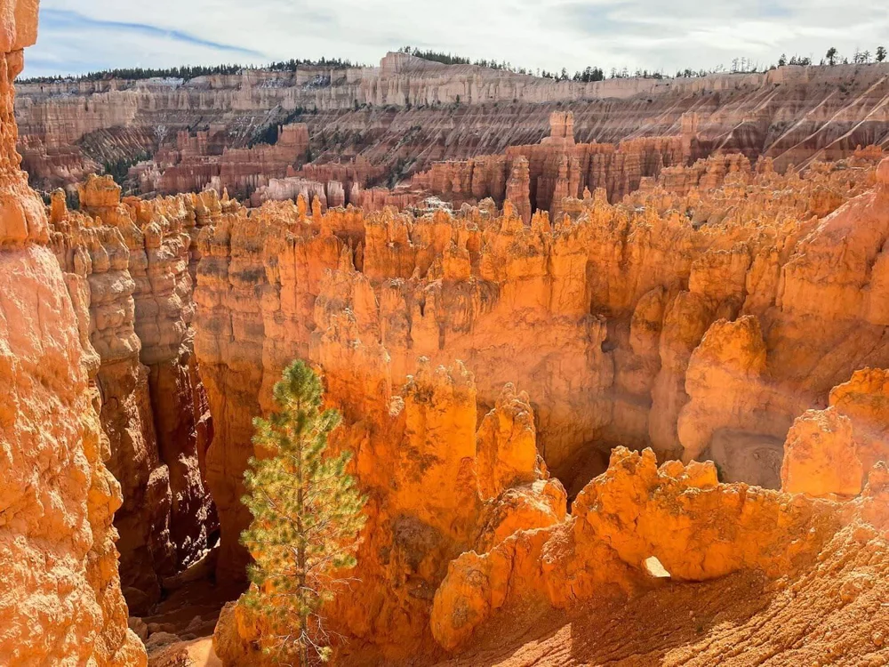 Bryce Canyon Scenic Drive: Best Overlooks, Hikes, and Things To Do in ...
