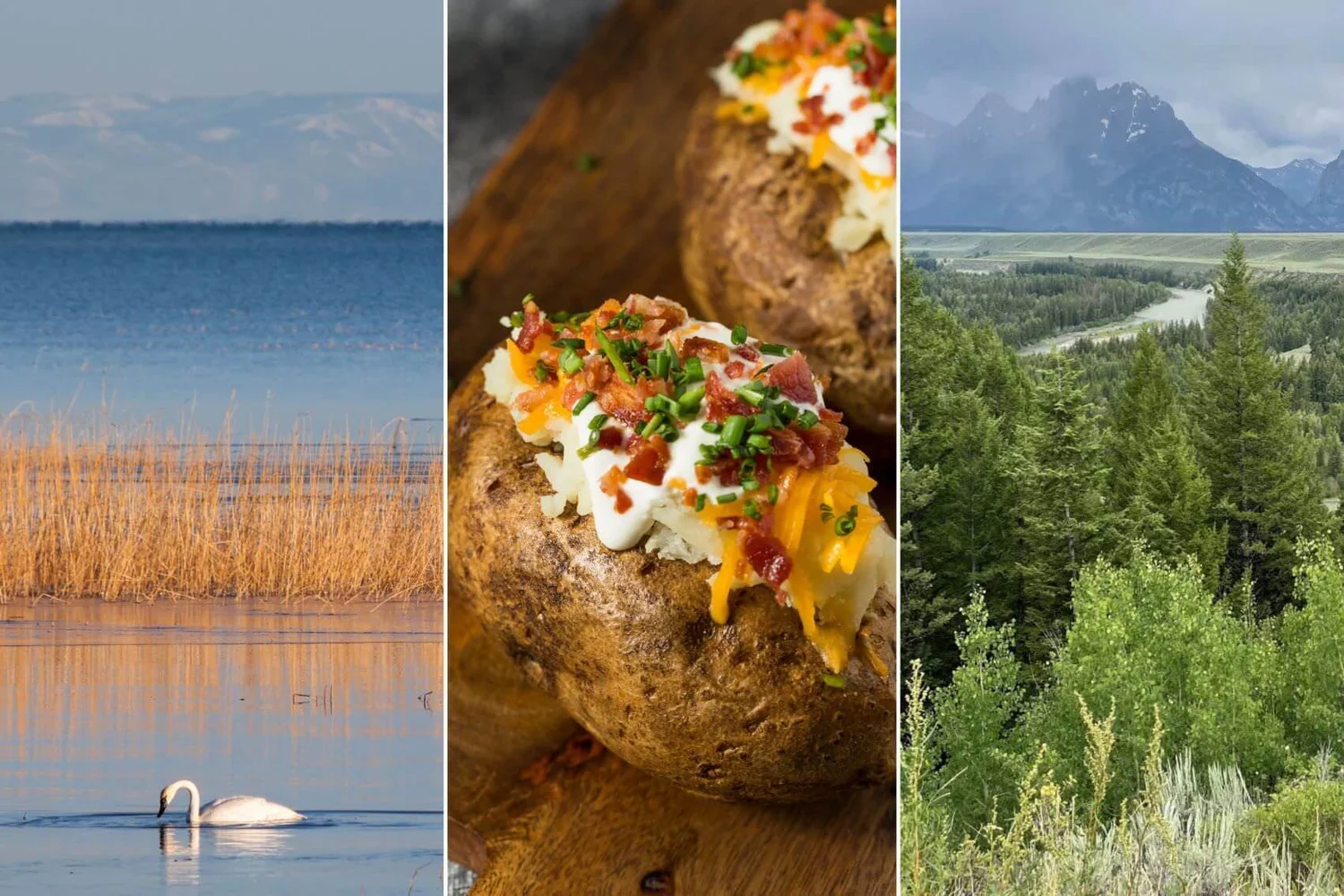 Salt Lake City to Yellowstone Road Trip: Best Routes and Scenic Stops ...