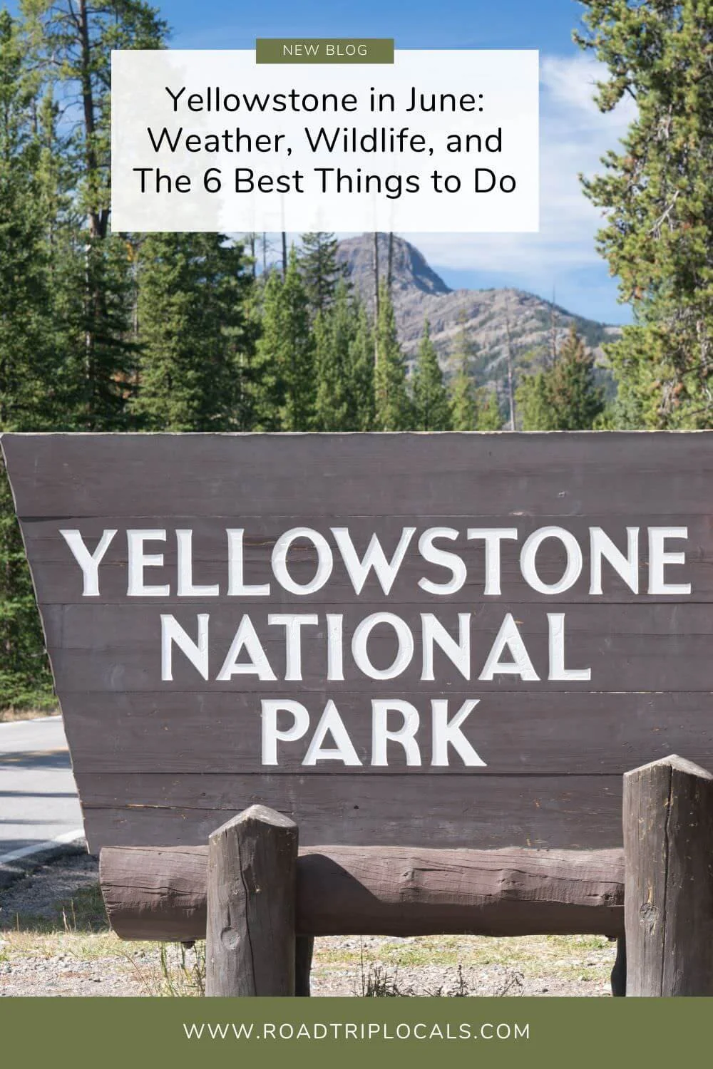 Yellowstone in June: Guide to Weather, Crowds, and What to Do — Road ...