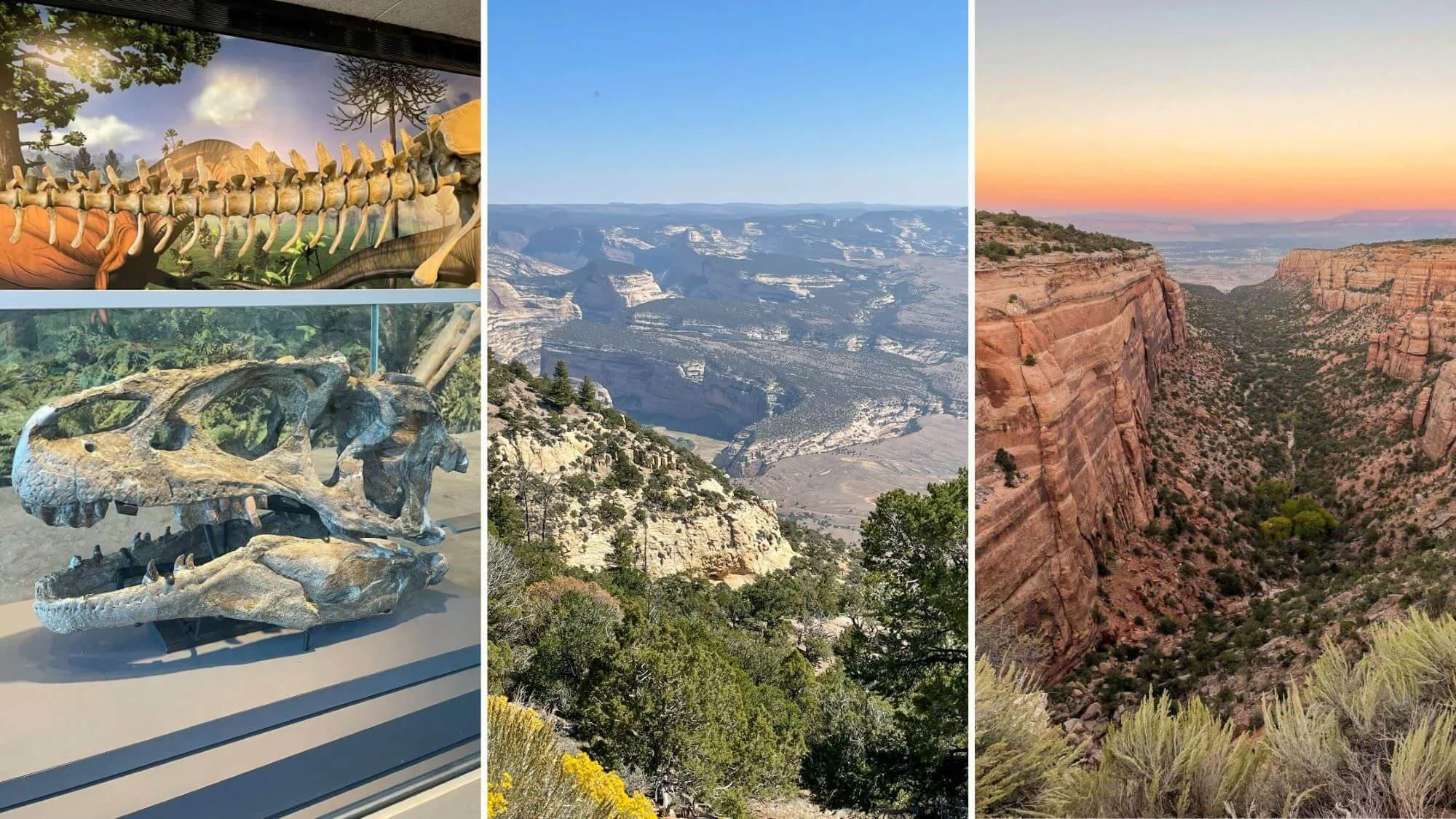 CO/UT Road Trip: Dinosaur Diamond Scenic Byway — Road Trip Locals