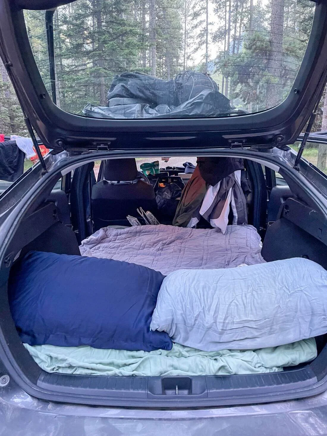 Car Camping for Beginners: A How-To Guide — Road Trip Locals