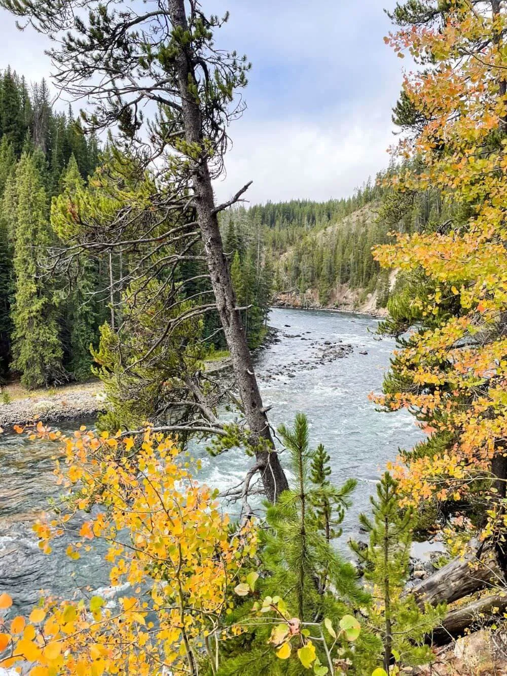 Yellowstone in September: What It’s Really Like (Crowds, Weather ...