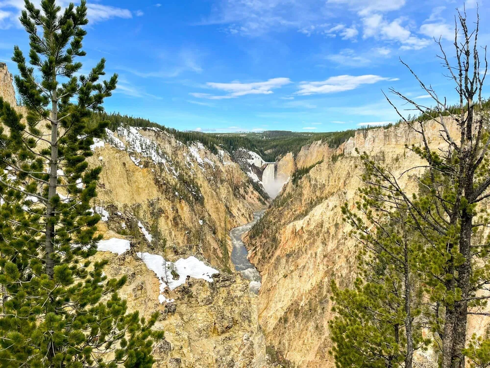 Yellowstone in May: What’s Open + How to See Bears and Baby Animals ...