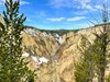 Bears and Baby Animals—What to Expect in Yellowstone in May — Road Trip ...