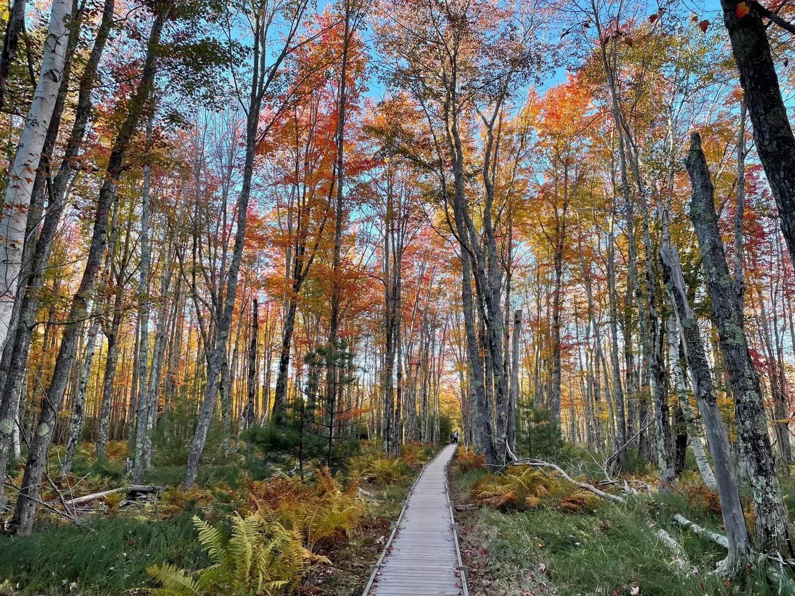 Picture-Perfect: A Festive New England Fall Road Trip Itinerary — Road ...