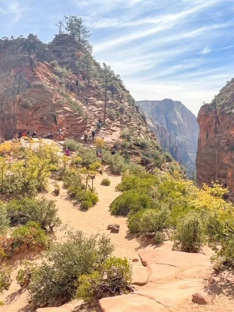 What it's like to hike Angel's Landing and The Narrows in Zion National ...