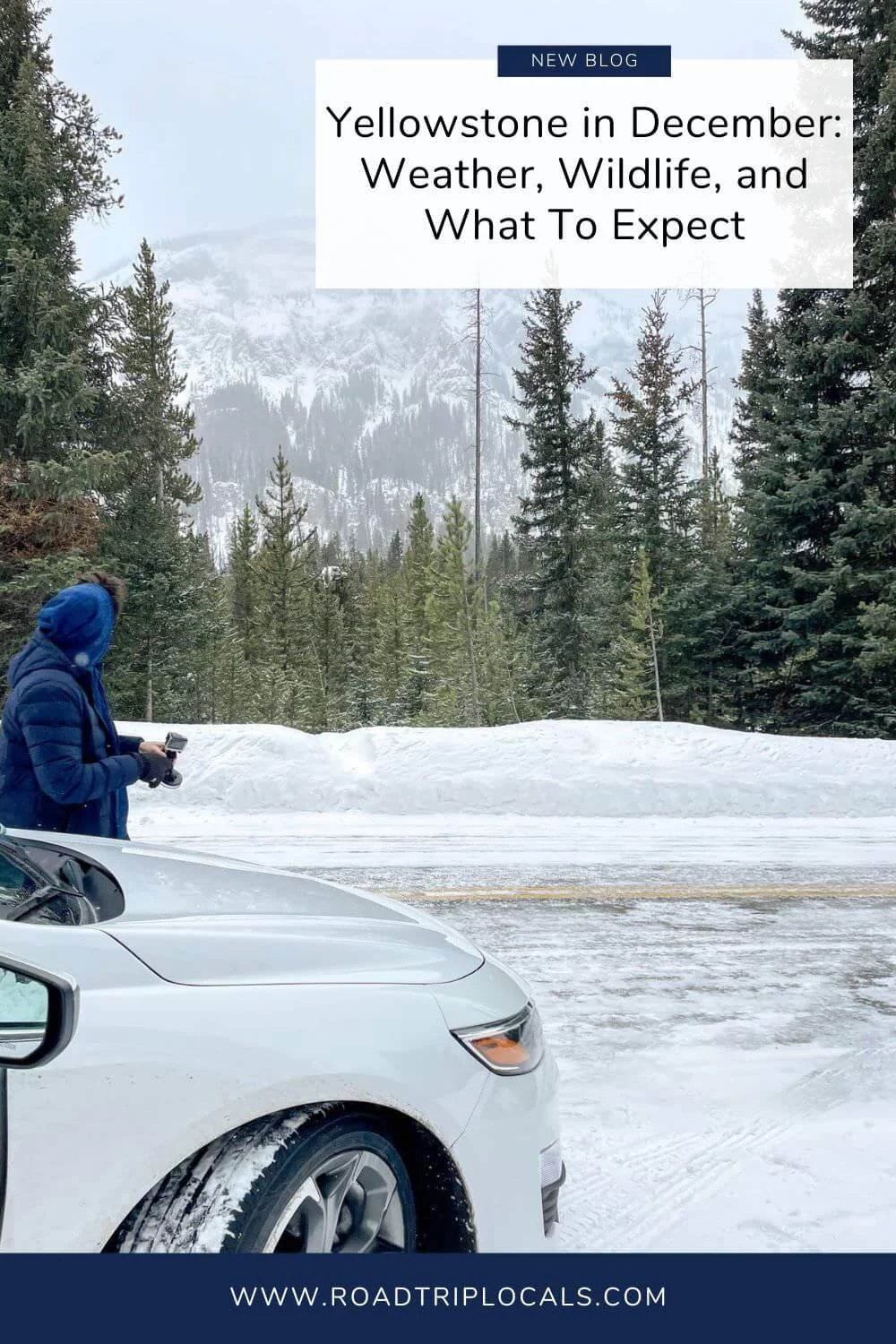 What to Expect Visiting Yellowstone in December — Road Trip Locals