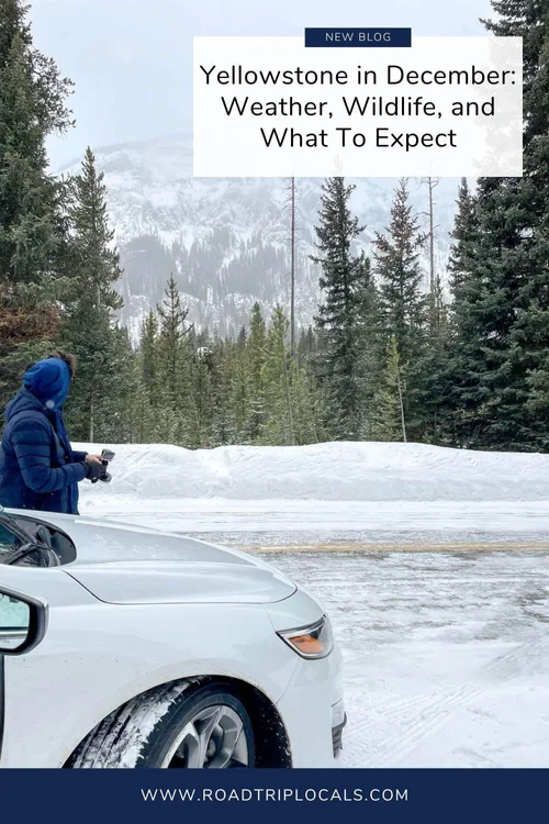 Yellowstone in December: What’s Open and What to Expect — Road Trip Locals