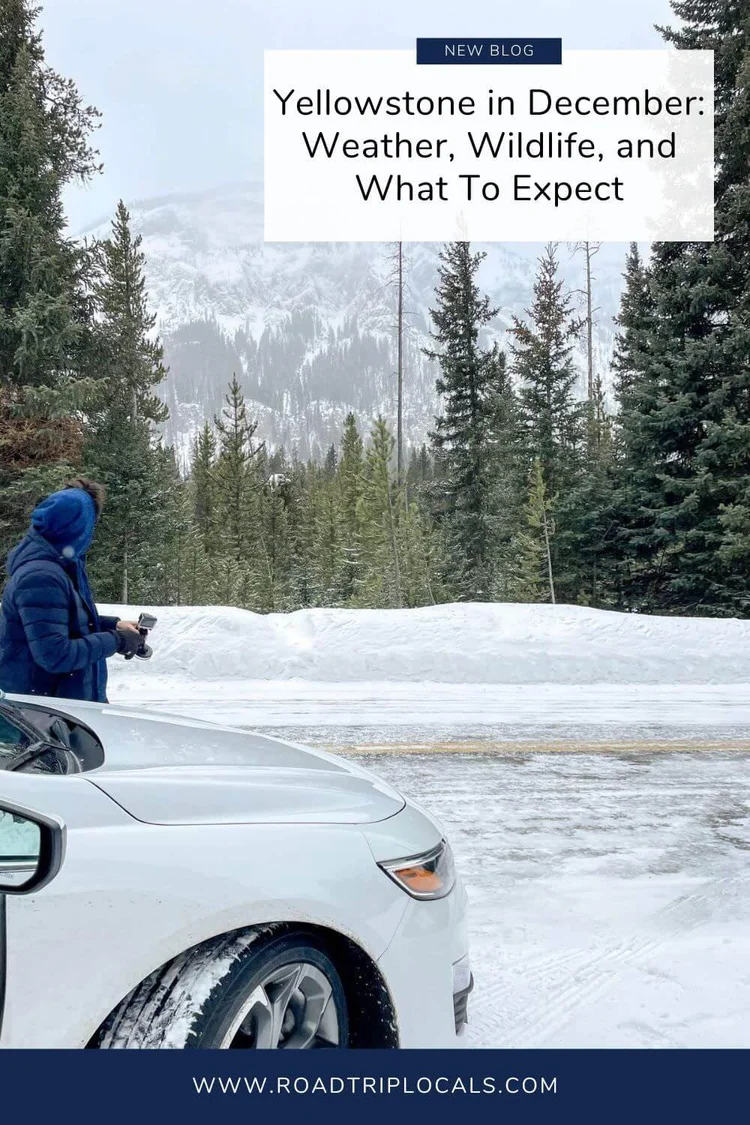 Yellowstone in December: What’s Open, What’s Closed, and What to Expect ...