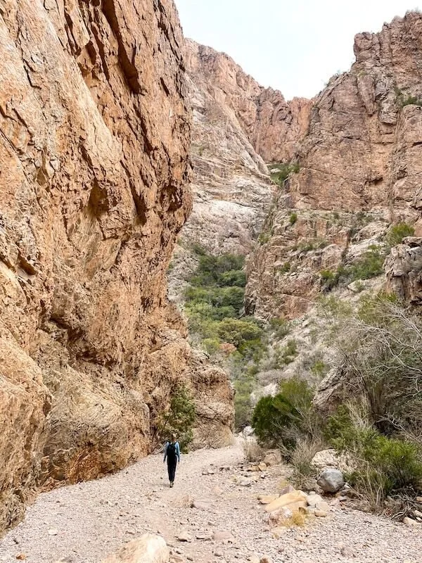 Chisos Basin Scenic Drive: The Best Views in Big Bend — Road Trip Locals