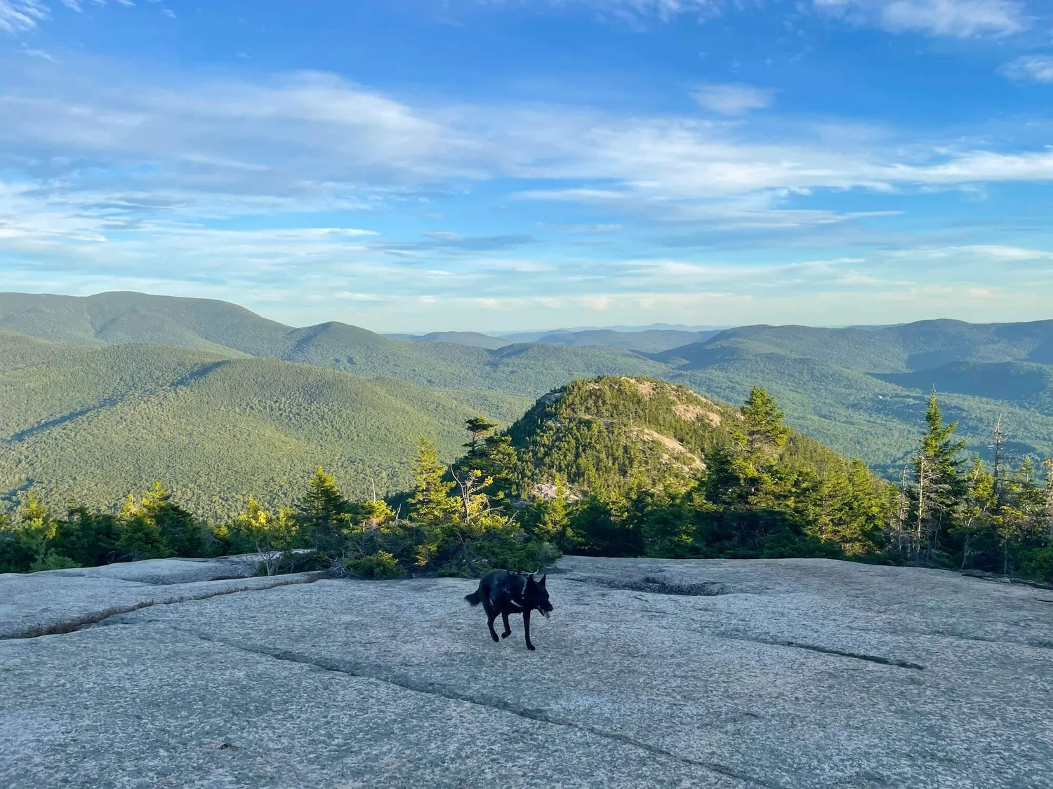 Lincoln’s List: Dog-Friendly NE Road Trip Idea — Road Trip Locals