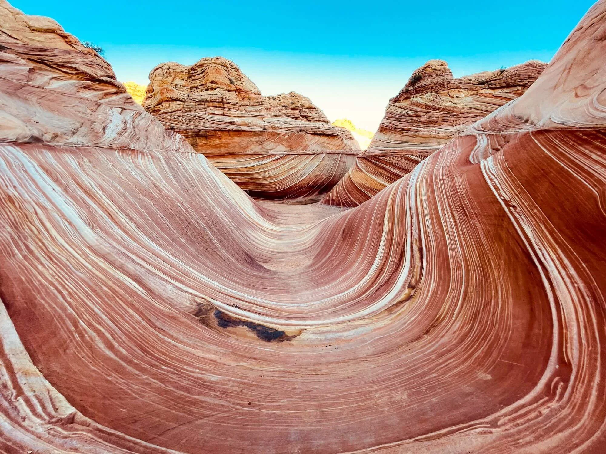 Winning a ‘Wave’ Permit (and what to expect once you do) — Road Trip Locals