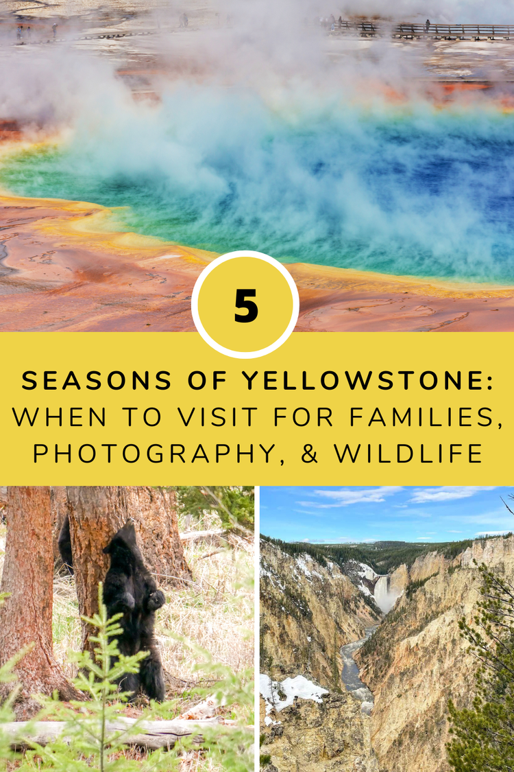 Yellowstone’s Five Seasons: Which One Is Right for You? — Road Trip Locals